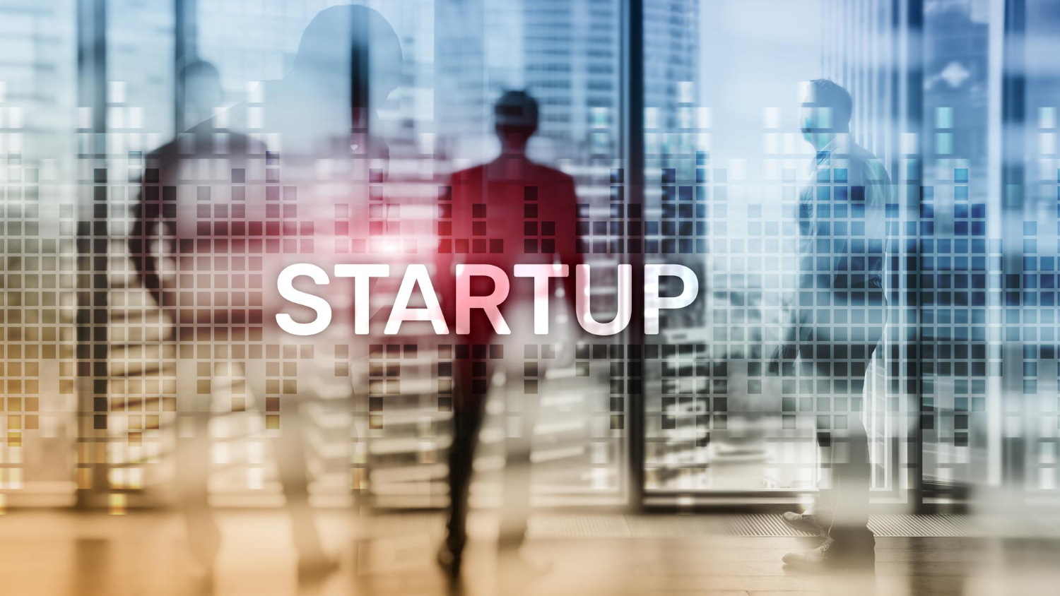 What is a Startup Company | YLG May 21, 2025
